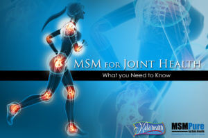 MSM for Joint Health - What You Need to Know – Kala Health